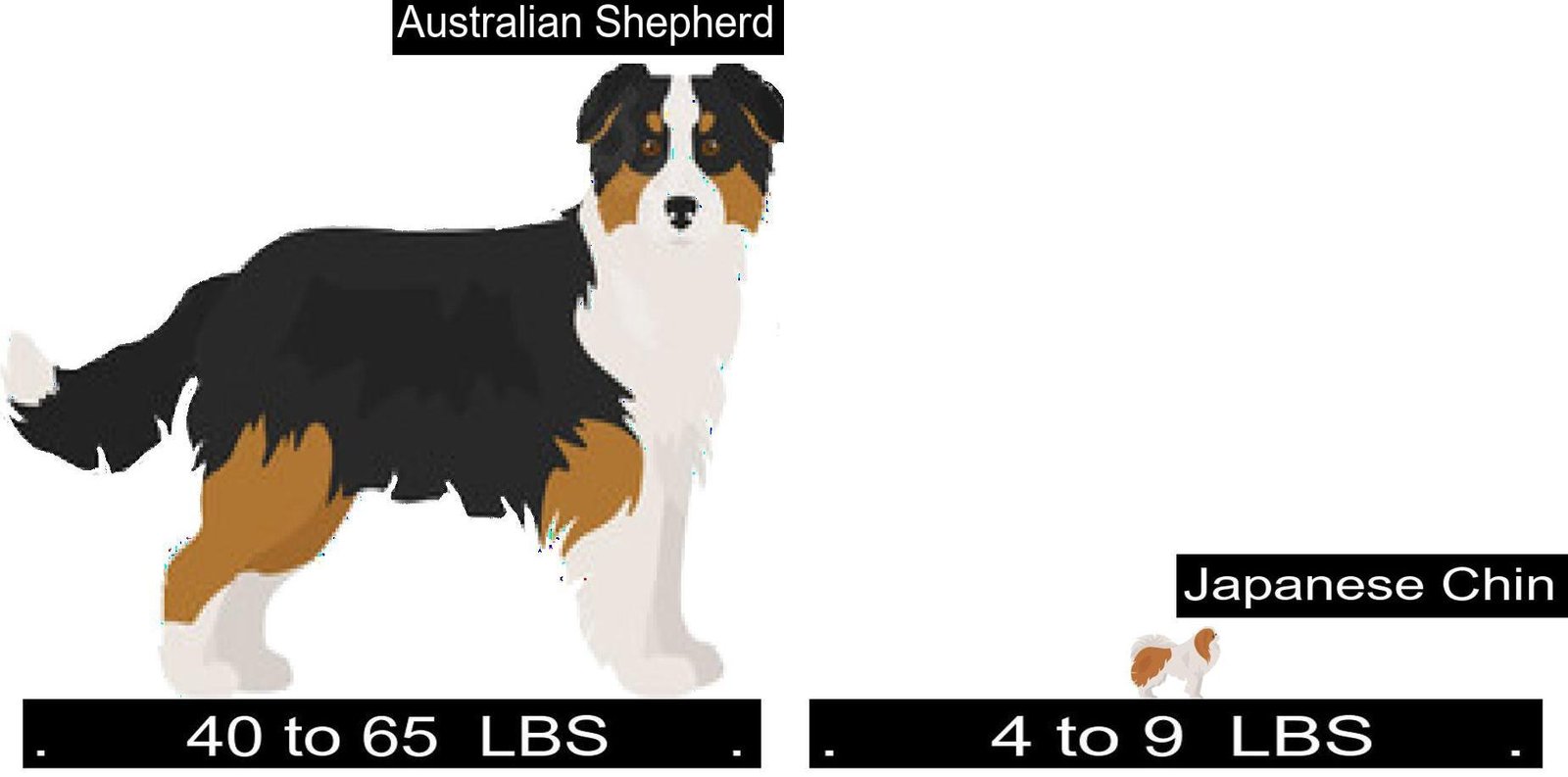 Differences And Similarities Between The Australian Shepherd And The ...